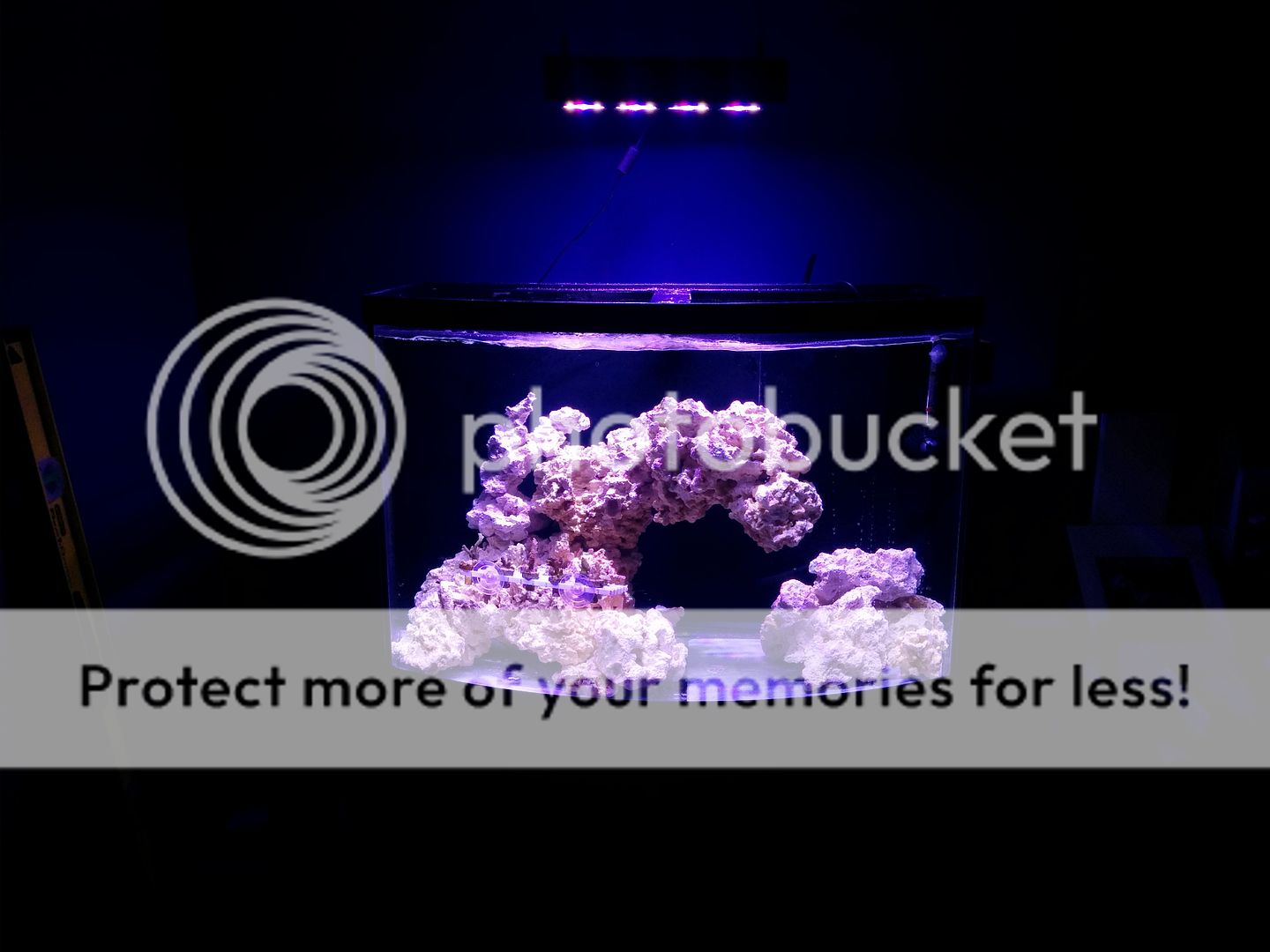 Suggestions on hydra 52 program | Reef2Reef