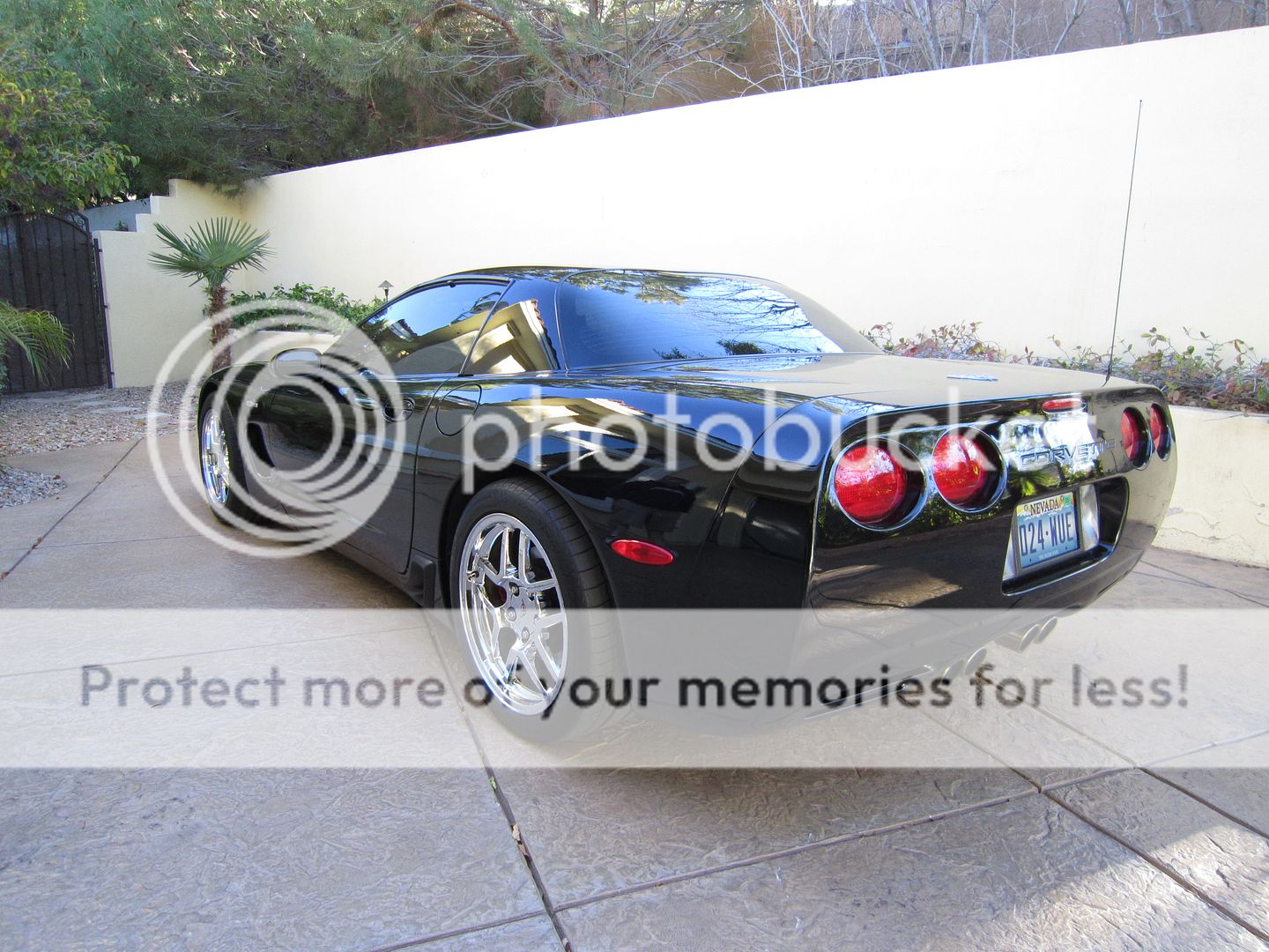 2003 Black 50th Ann. ZO6 For Sale - CorvetteForum - Chevrolet Corvette ...